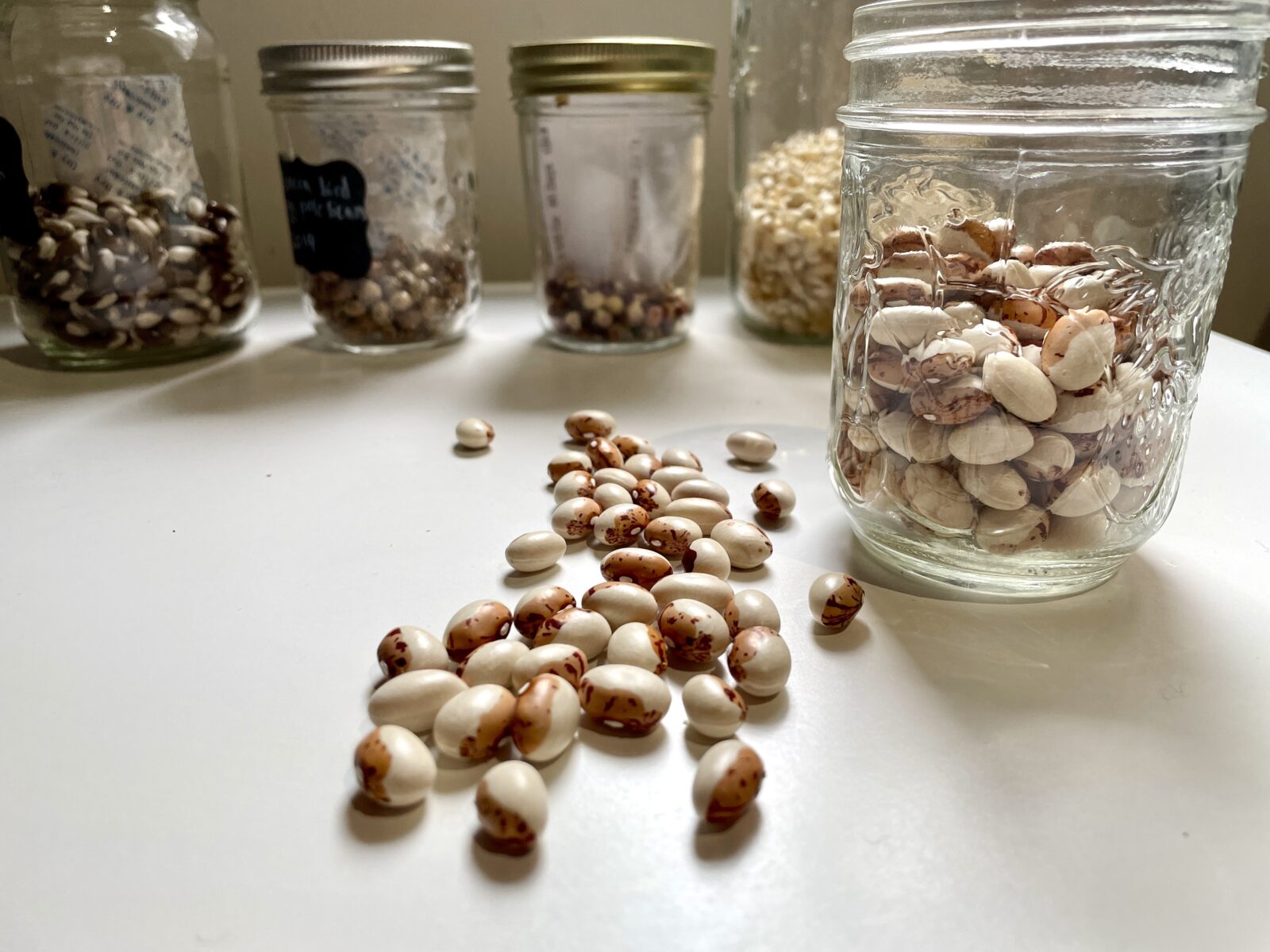 Indigenous Seed Keeping and Seed Climate Adaptation - Canadian Climate ...